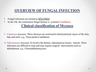 Fungus and anti fungal drugs | PPT