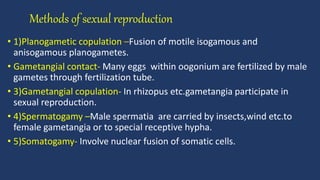 Fungi | PPT