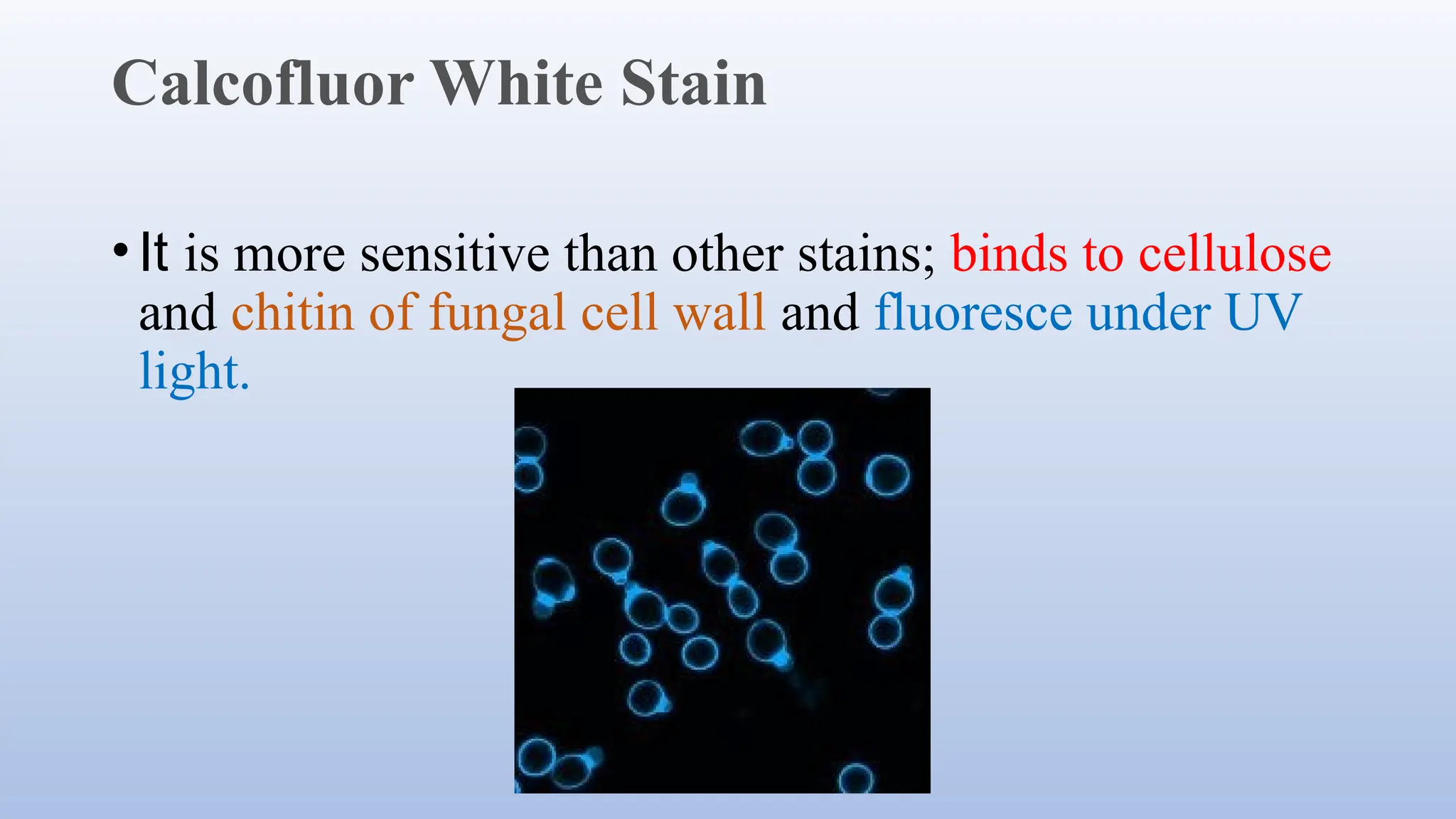 Laboratory Diagnosis of Mycology-II, microscopy, staining, culture ...