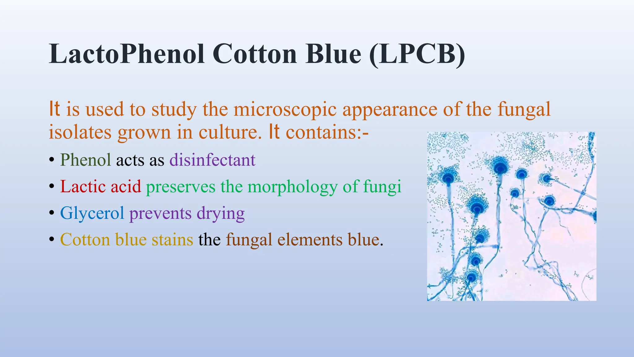 Laboratory Diagnosis of Mycology-II, microscopy, staining, culture ...