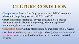 Laboratory Diagnosis of Mycology-II, microscopy, staining, culture ...