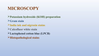 Laboratory Diagnosis of Mycology-II, microscopy, staining, culture ...