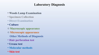 Superficial Mycoses (Dermatophytosis) Fungus iii.pptx