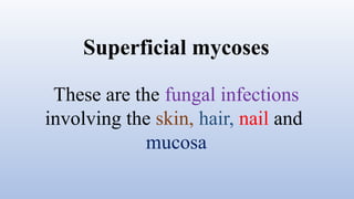 Superficial Mycoses (Dermatophytosis) Fungus iii.pptx