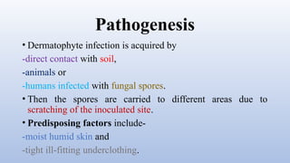 Superficial Mycoses (Dermatophytosis) Fungus iii.pptx