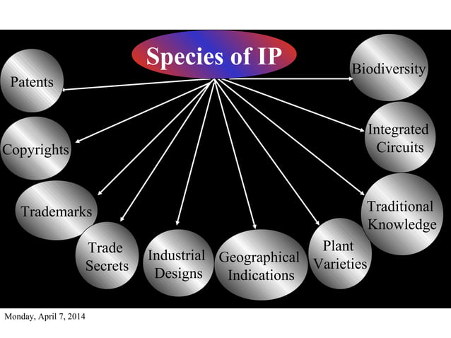 Fundamentals of IP and Licensing | PPT