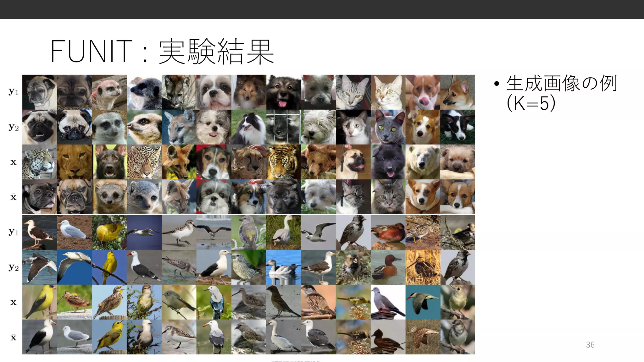 Few-Shot Unsupervised Image-to-Image Translation | PDF