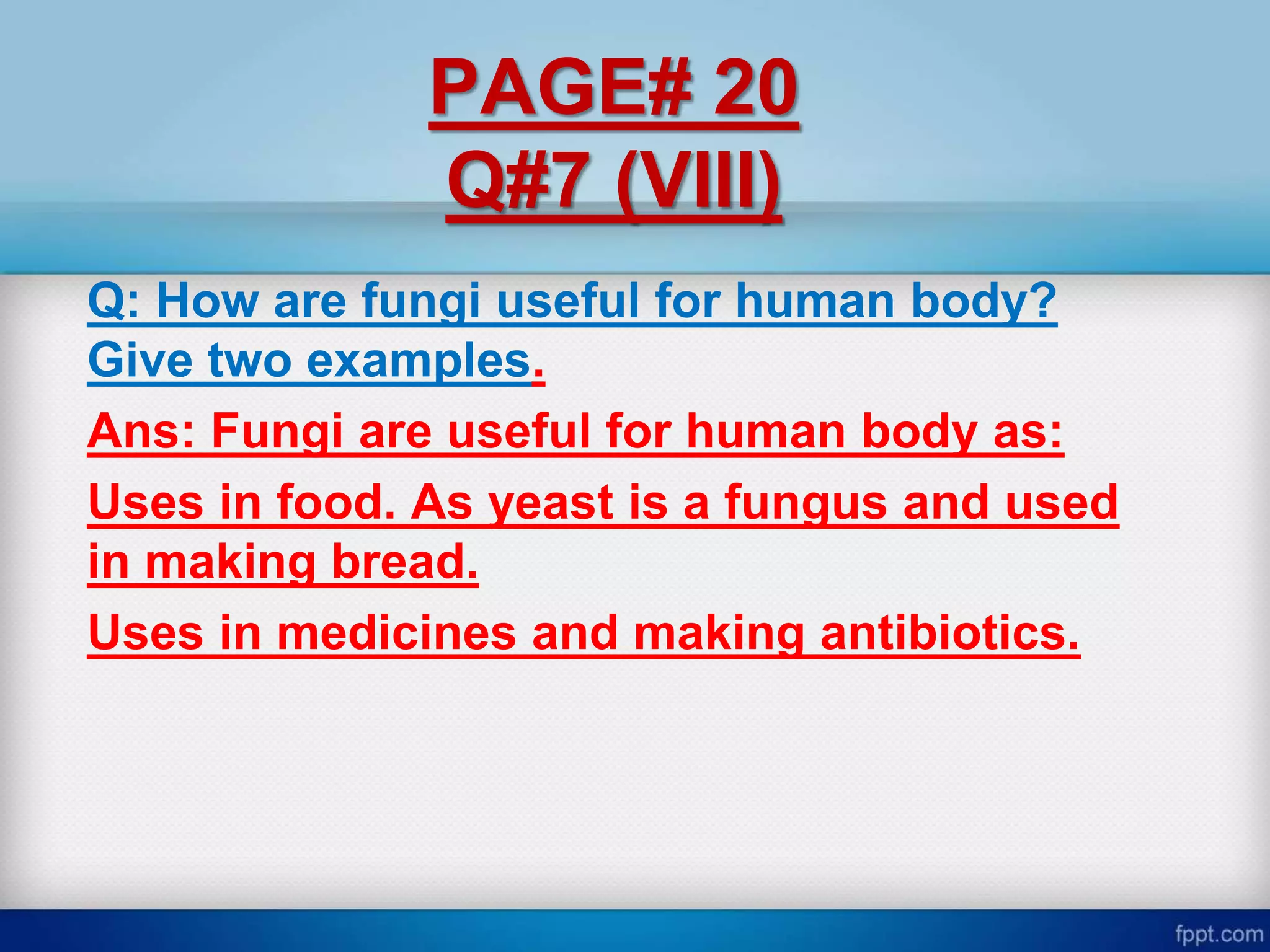 What is Funji | PPTX