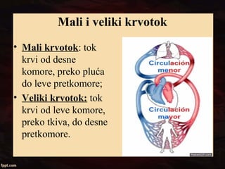 Funkcionalna anatomija srca | PPT