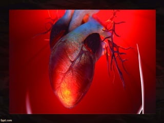 Funkcionalna anatomija srca | PPT