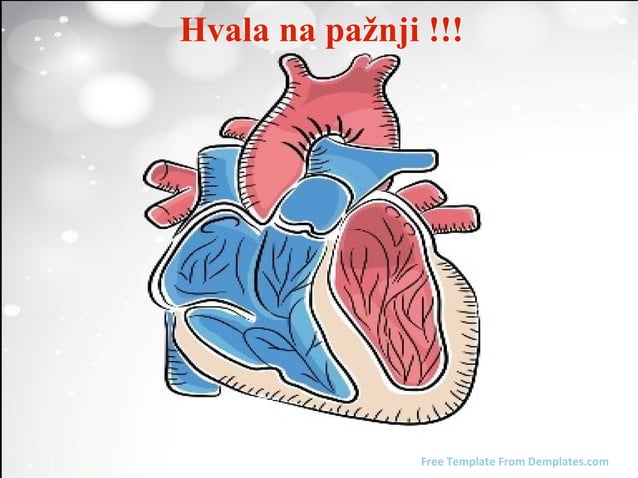 Funkcionalna anatomija srca | PPT