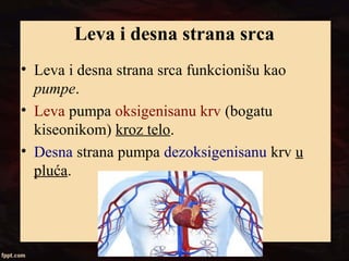 Funkcionalna anatomija srca | PPT