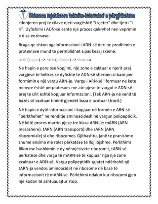 ARN & ADN | DOCX