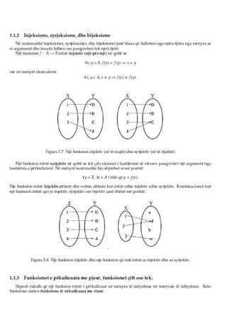 Funksioni matematik | PDF