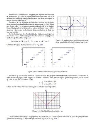 Funksioni matematik | PDF