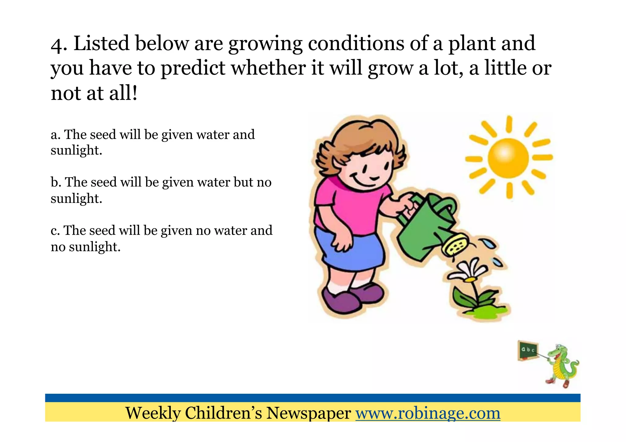 Fun Learning for Kids: The World of Plants | PDF