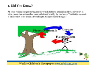 Fun Learning for Kids: The World of Plants | PDF