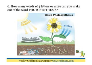 Fun Learning for Kids: The World of Plants | PDF