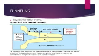 FUNNELING - SLUDGE.ppt