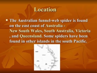 Funnel Web Spiders Brooke | PPT
