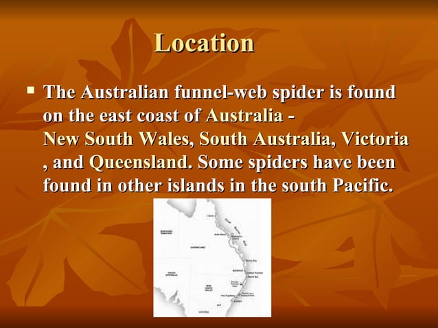 Funnel Web Spiders Brooke | PPT