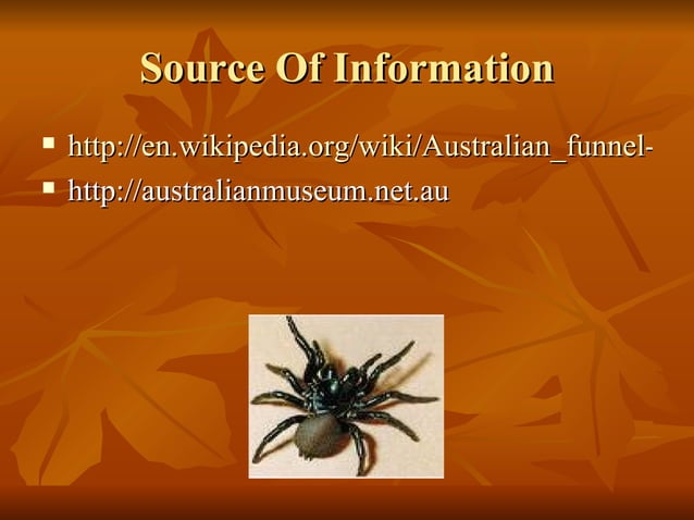Funnel Web Spiders Brooke | PPT
