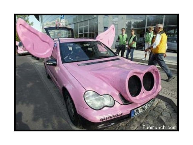 Funny Car Pics. | PPT