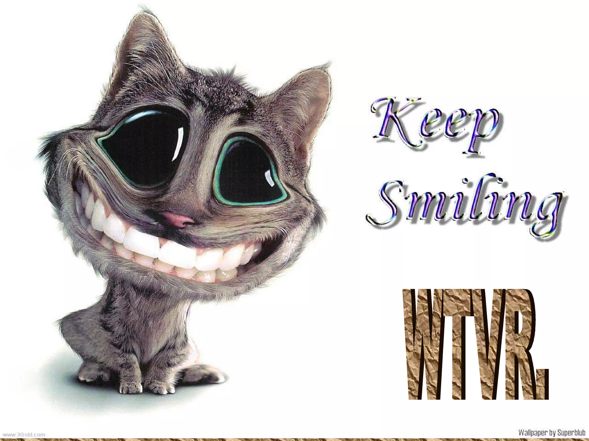 Funny Cats | PPT