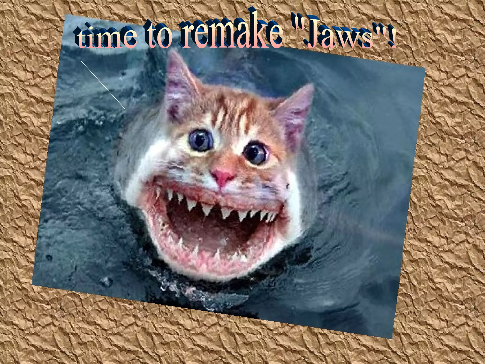 Funny Cats | PPT