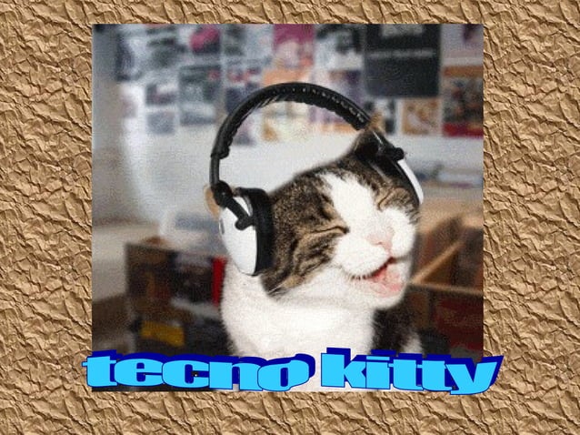 Funny Cats | PPT