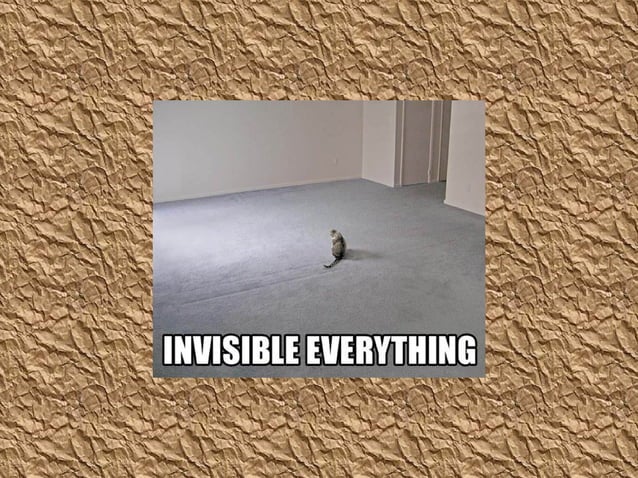 Funny Cats | PPT