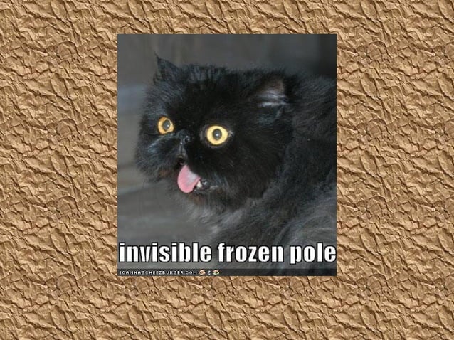 Funny Cats | PPT