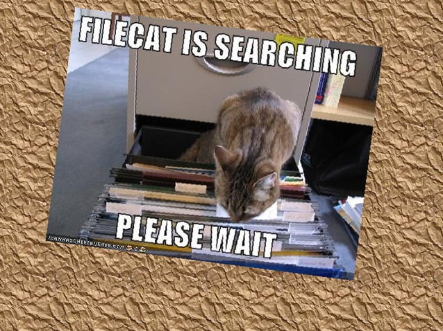 Funny Cats | PPT
