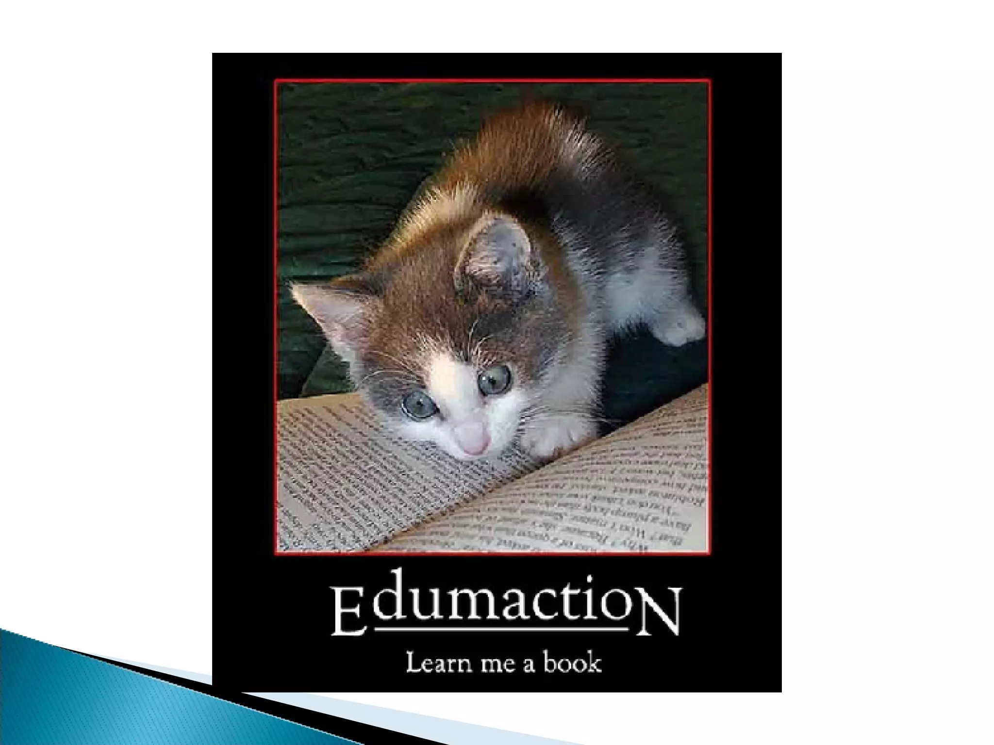 Funny Cats | PPT