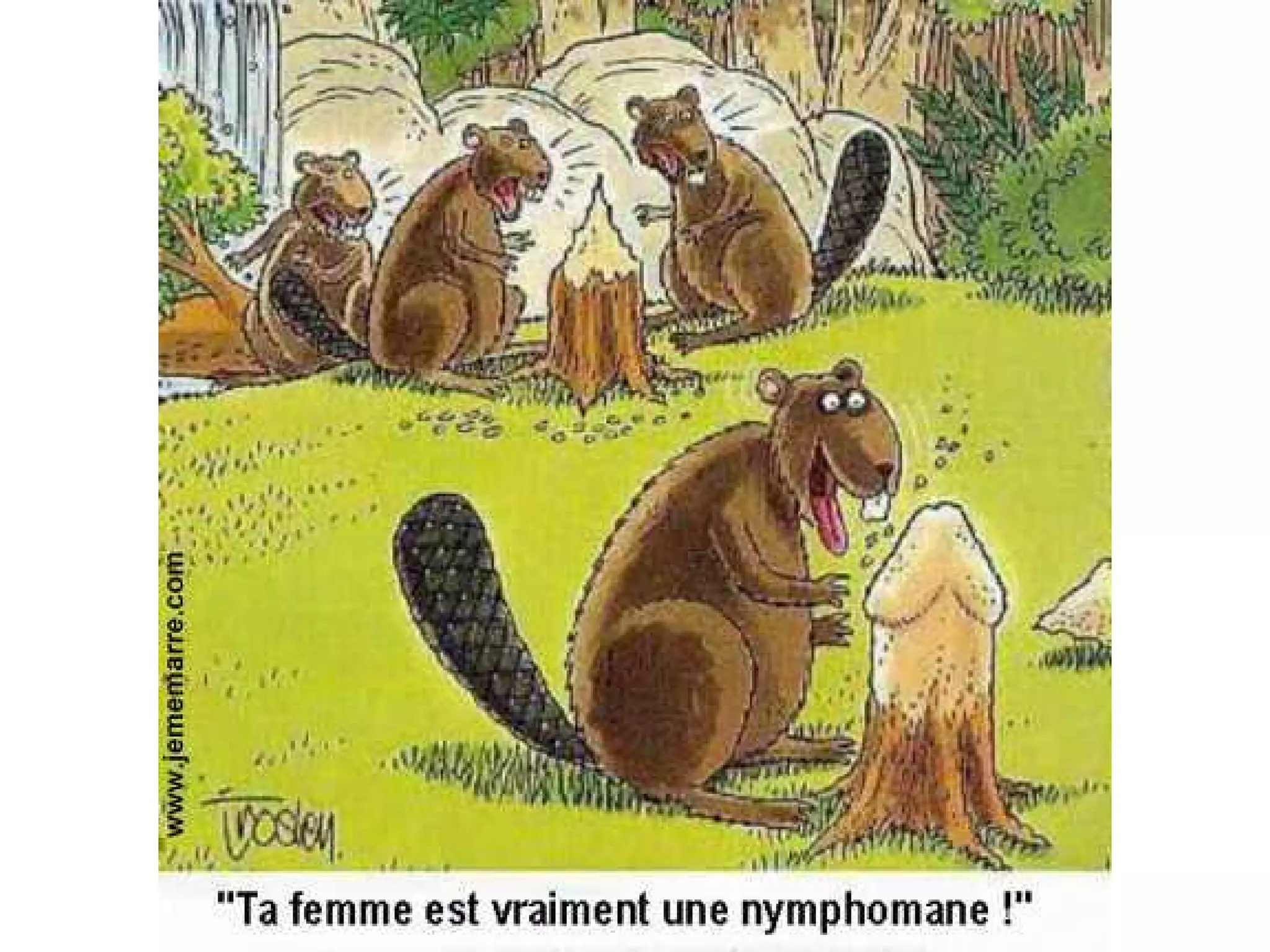 Funny Drawings | PDF