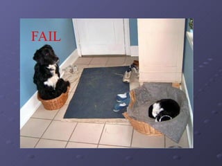 Funny Failures | PPT