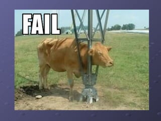 Funny Failures | PPT