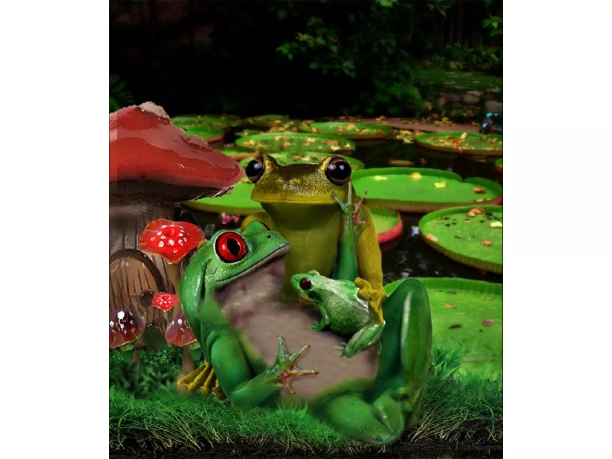 Funny Frog | PPT