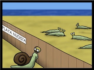 Funny Slideshow | PPT