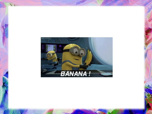 Funny and Crazy Gifs | PPT