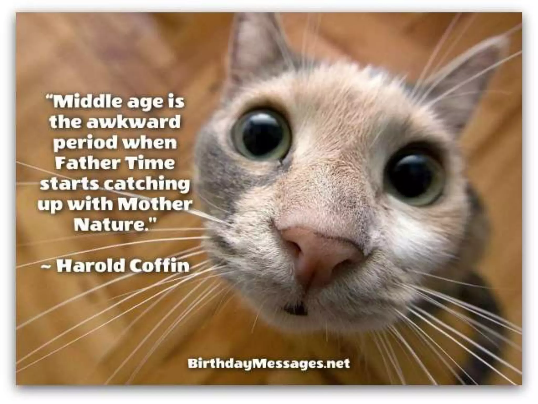 Funny birthday wish | PPTX