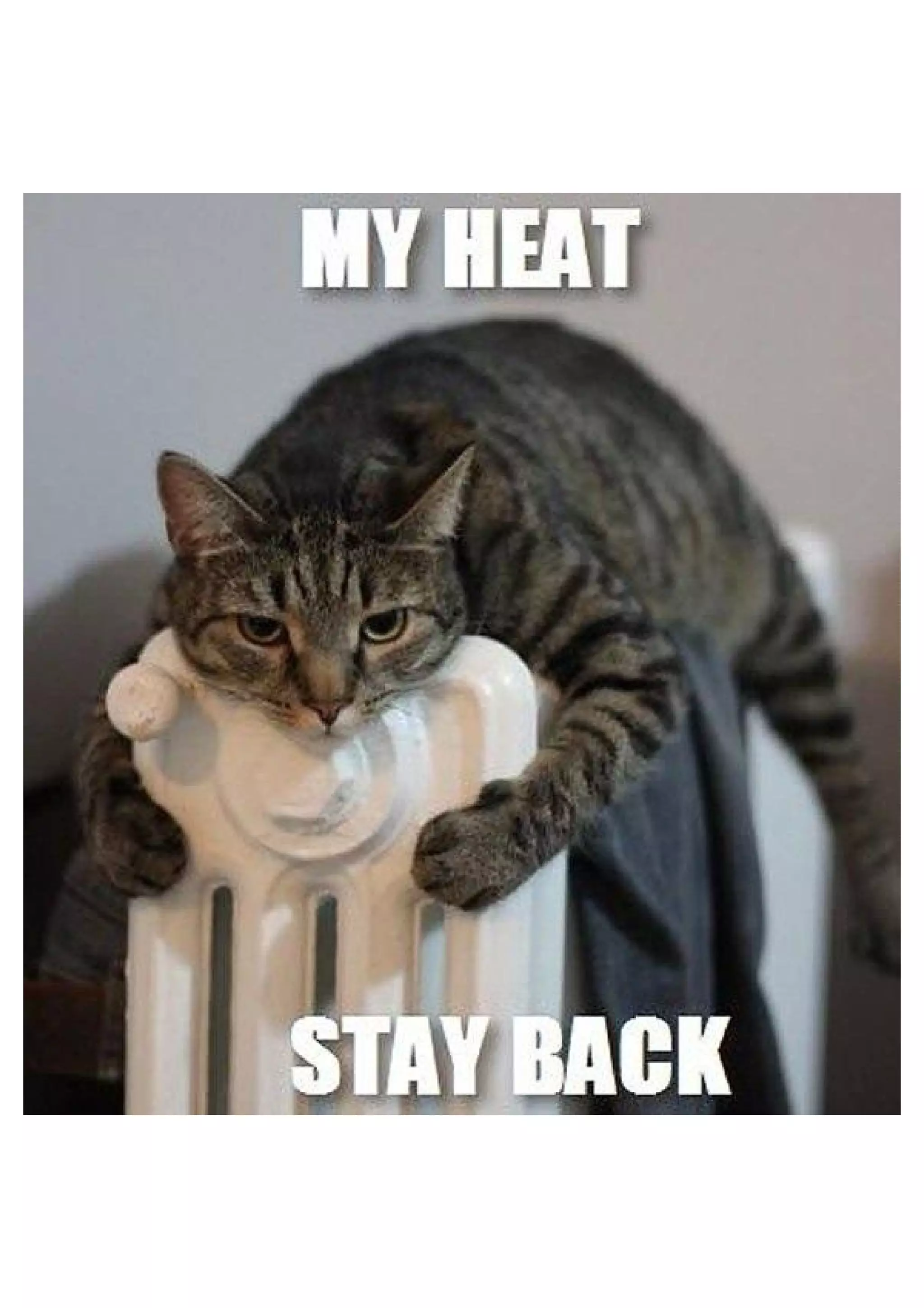 Funny cat hvac meme | PDF