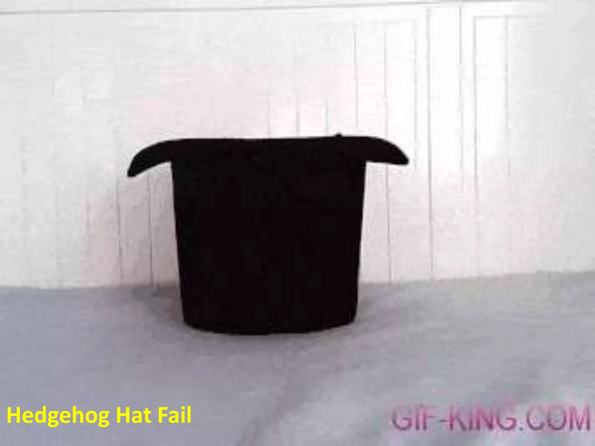Funny Fail Gifs | gif-king.com