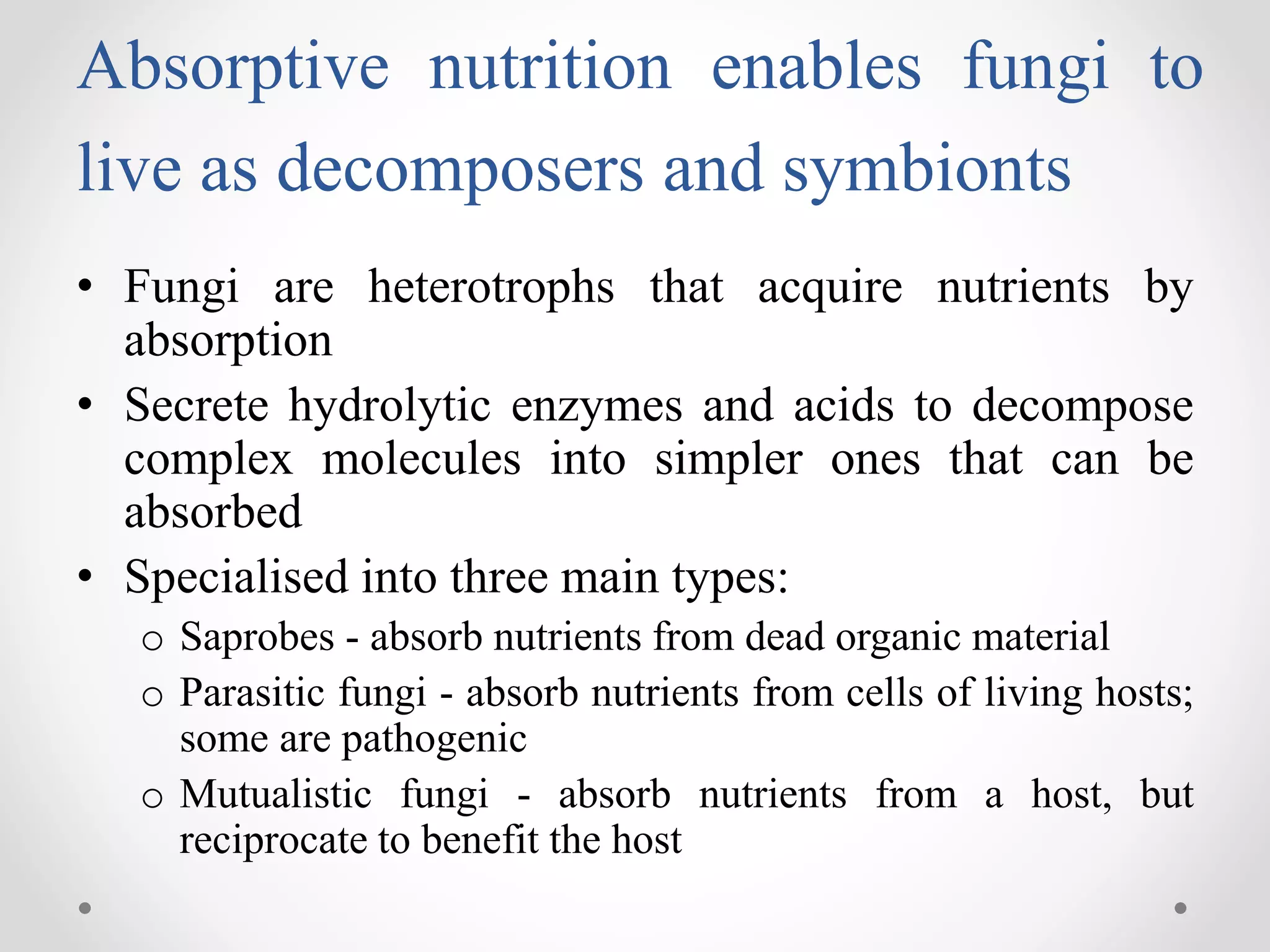 Fungi | PPTX