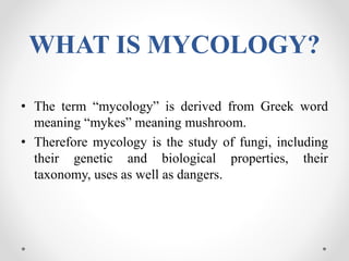 Fungi | PPT