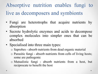 Fungi | PPT