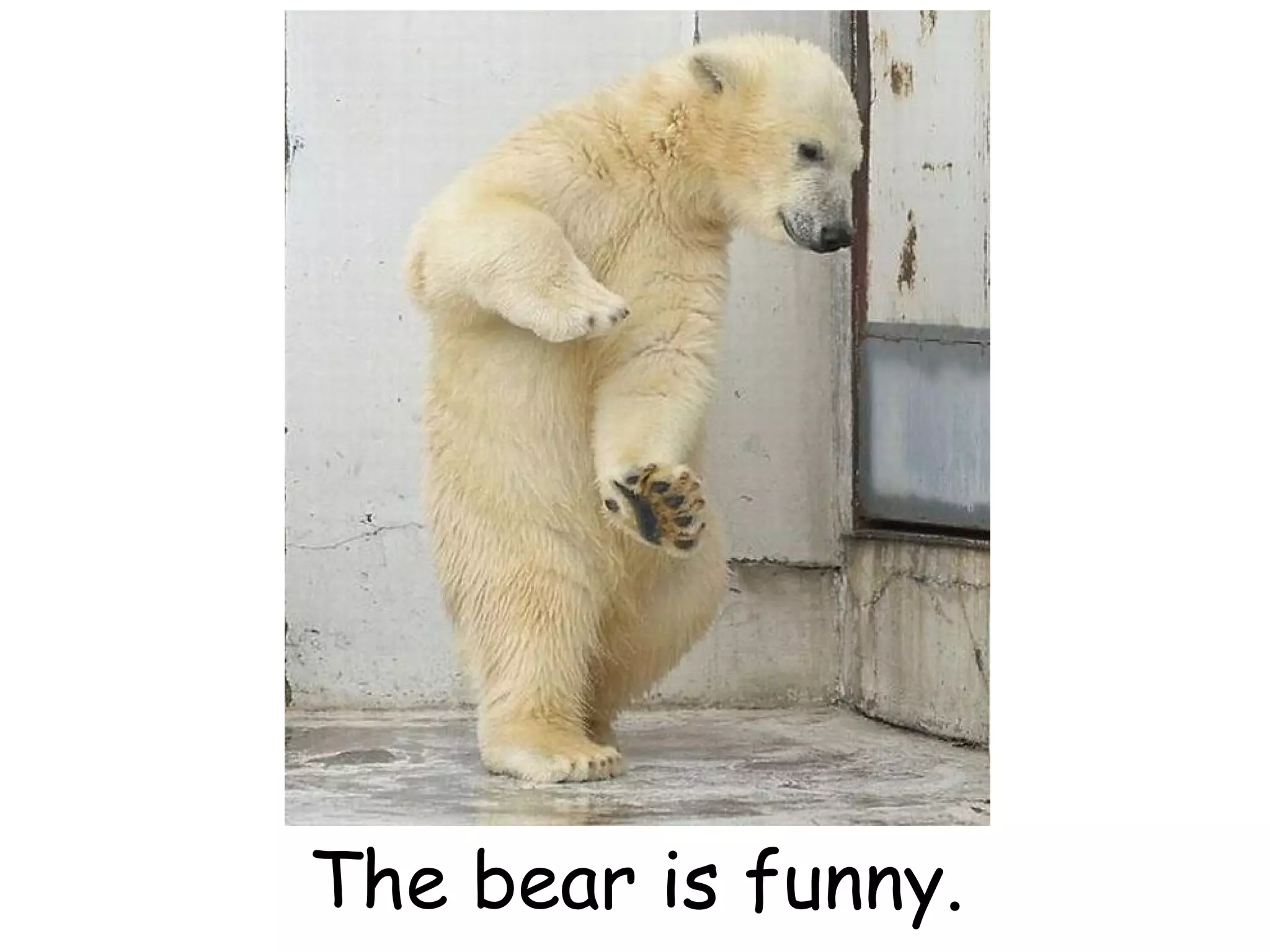 Funny it is funny | PPT