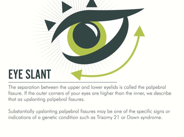 "Funny Looking": 13 Physical Clues To Your Genetic Inheritance | PPT