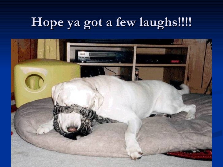 Funny Slide Show Funny Slide Show