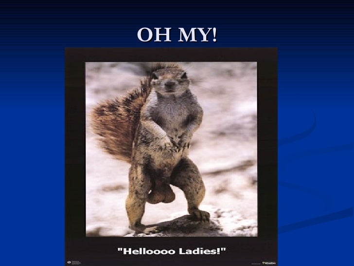 Funny Slide Show Funny Slide Show